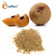 ECOFLAV - Sapota Cheeku Powder | Vinayak Ingredients (India) Pvt Ltd ...