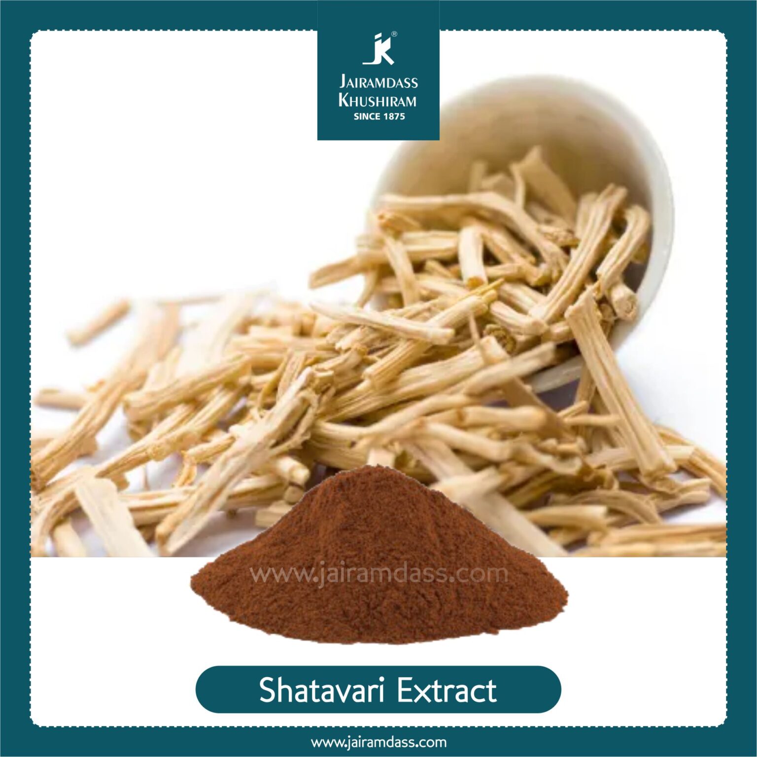 Shatavari Extract (Satavar) | JK Botanicals Pvt. Ltd. | Ingredients Network