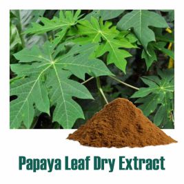 Papaya Leaf Extract | JK Botanicals Pvt Ltd | Ingredients Network