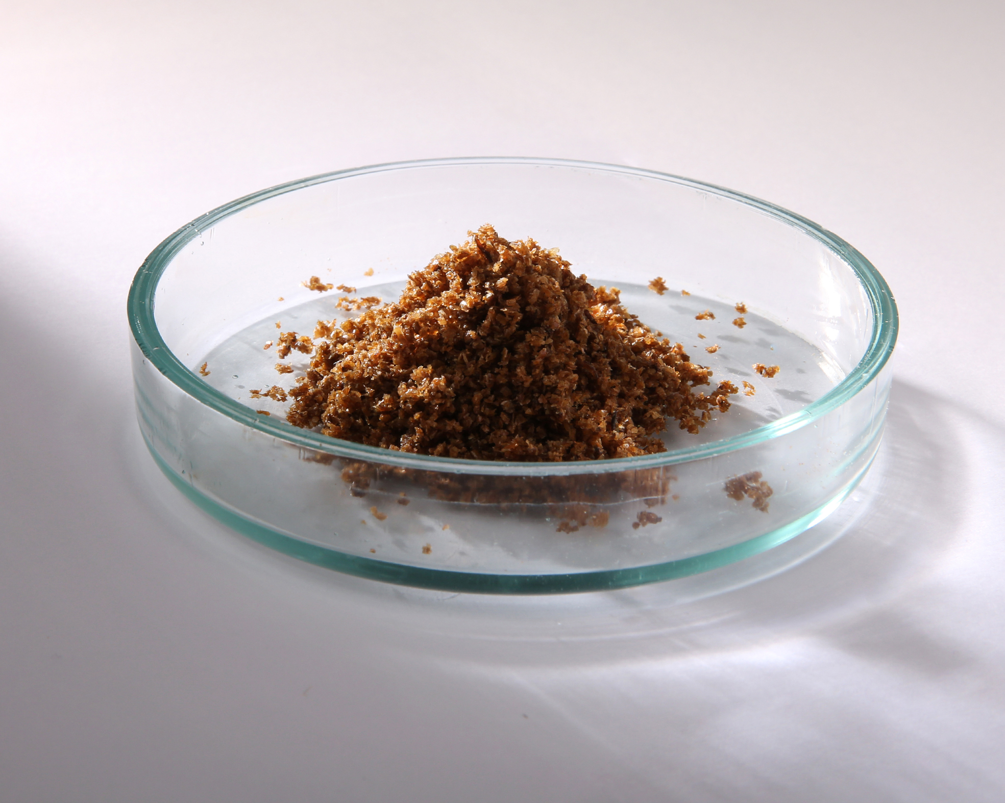 Textured Insect Protein Powder (TIPP) | Divaks | Ingredients Network