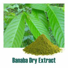 Banaba Leaves Extract | JK Botanicals Pvt. Ltd. | Ingredients Network