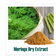 Moringa Oleifera Extract | JK Botanicals Pvt Ltd | Ingredients Network