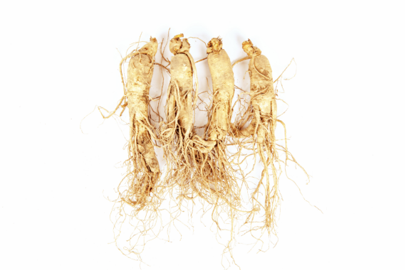 Panax ginseng Extract | Hangzhou Muhua Bio-Tech Co., Ltd | Ingredients ...