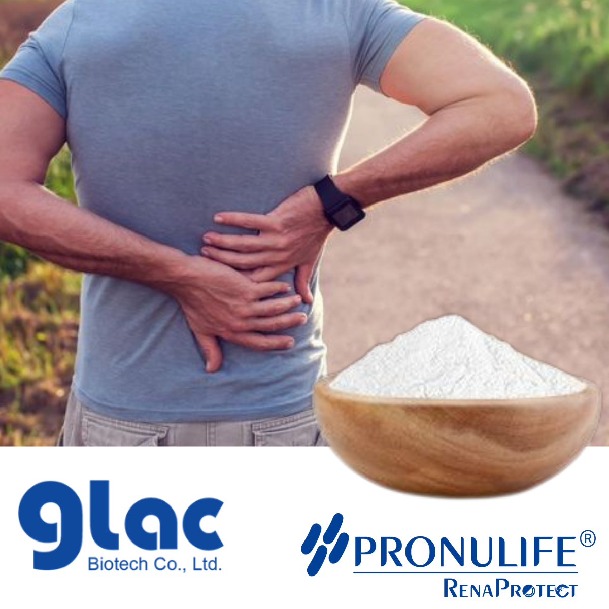 PRONULIFE®RenaProtect-Kidney Health Probiotics | Glac Biotech Co, Ltd ...