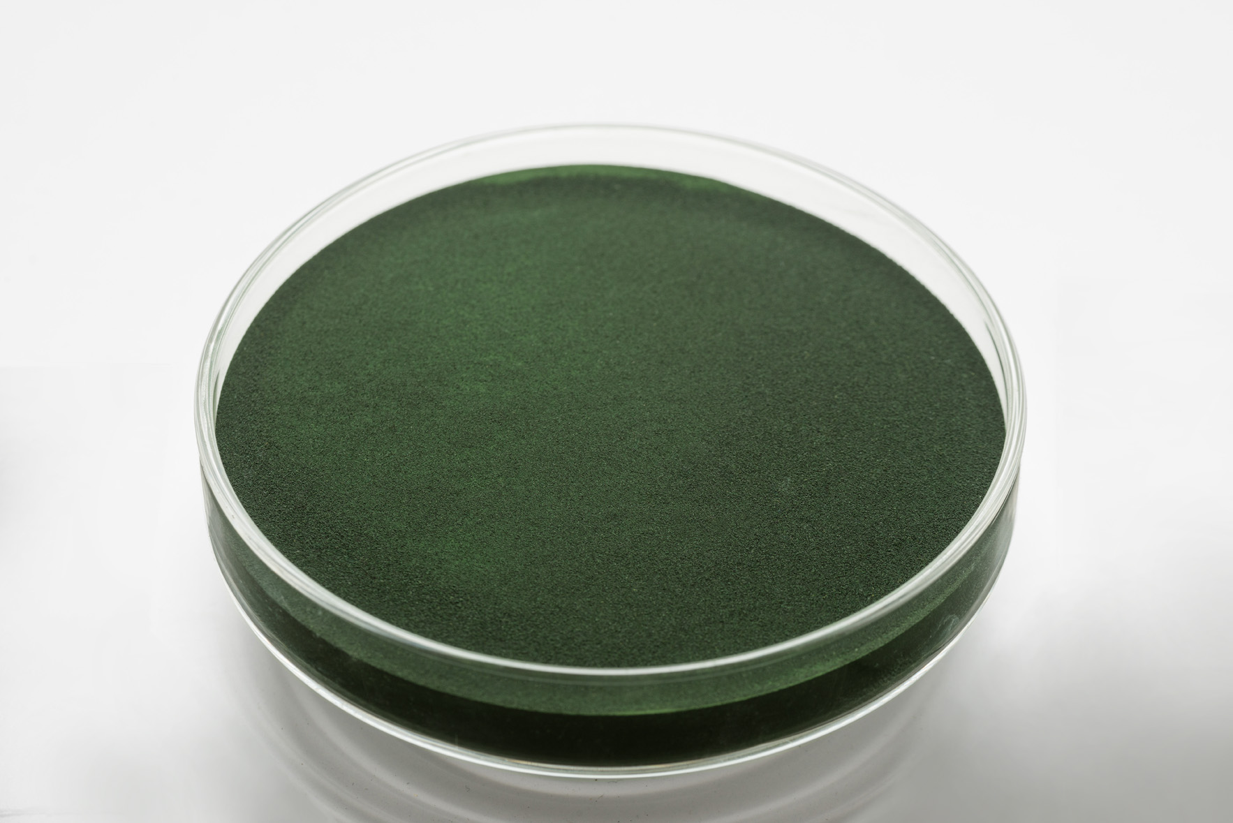 Chlorella | VEDAN BIOTECHNOLOGY CORPORATION | Ingredients Network
