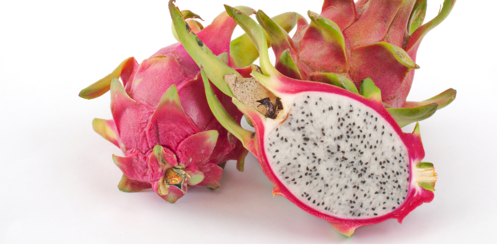 Castus Fruit P.E. - Ratio 10/1 | Pharmactive Biotech Products ...