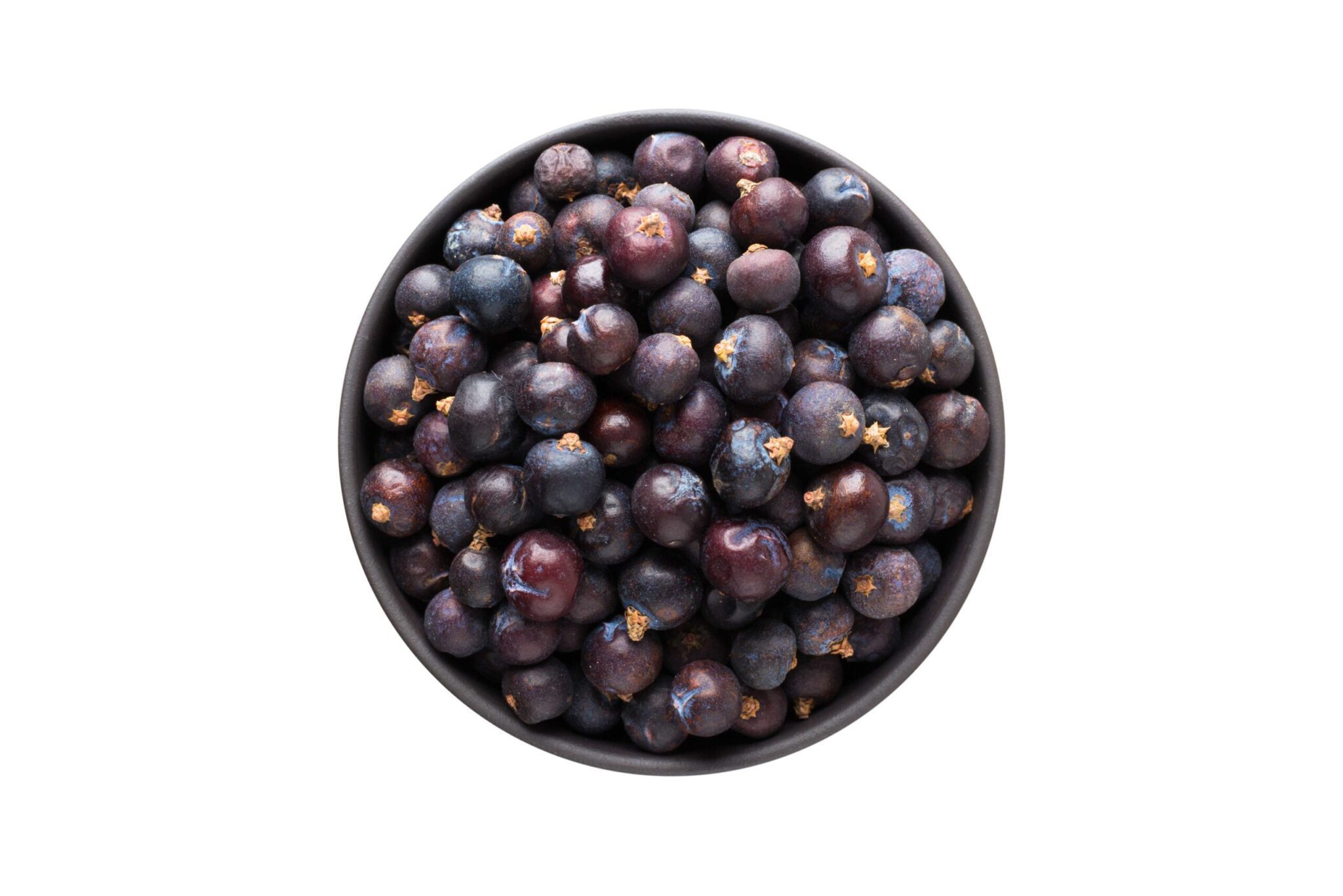 Juniper Berry Extract (Juniperus communis) | Naturmed Scientific GmbH ...