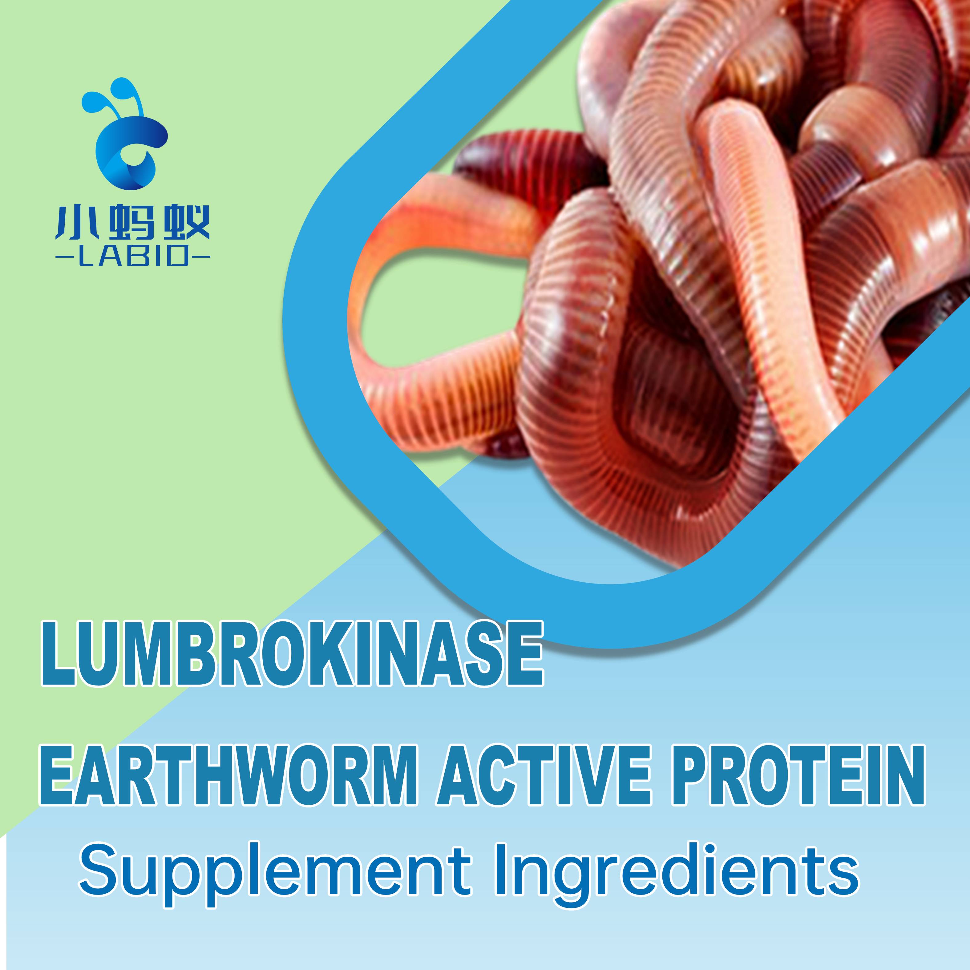 Lumbrokinase Earthworm Extract Earthworm Active Protein Powder | Little ...