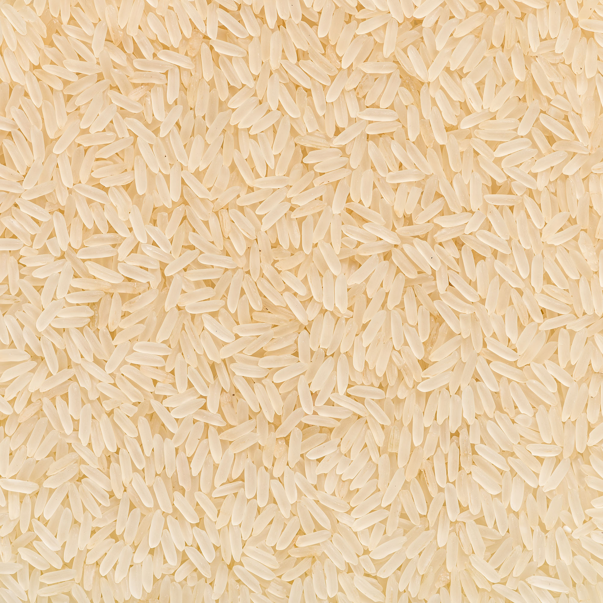 Parboiled Rice | NOVARROZ - PRODUTOS ALIMENTARES, S.A. | Ingredients Network