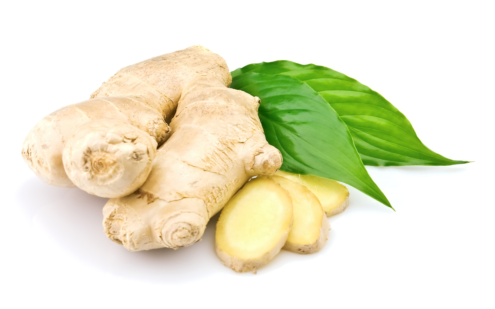 Ginger | Plant Lipids (P) Ltd | Ingredients Network