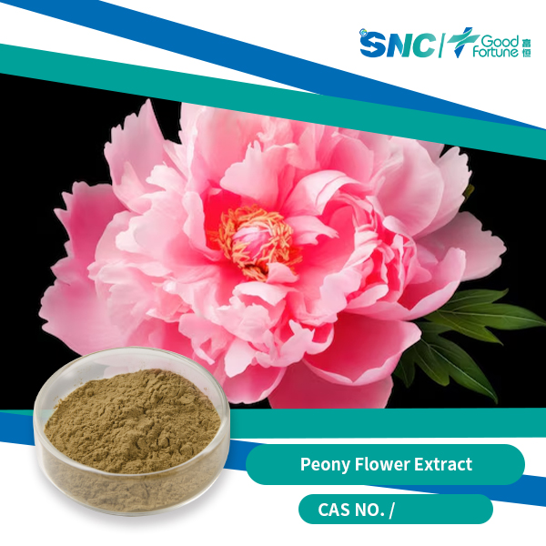 Peony Flower Extract | SNC | Good Fortune | Ingredients Network