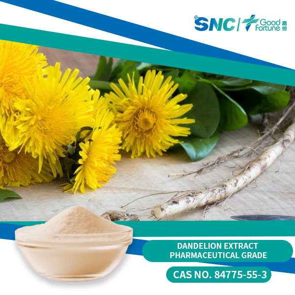 Dandelion Extract | SNC | Good Fortune | Ingredients Network