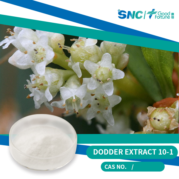 Dodder Extract 10-1 | SNC | Good Fortune | Ingredients Network