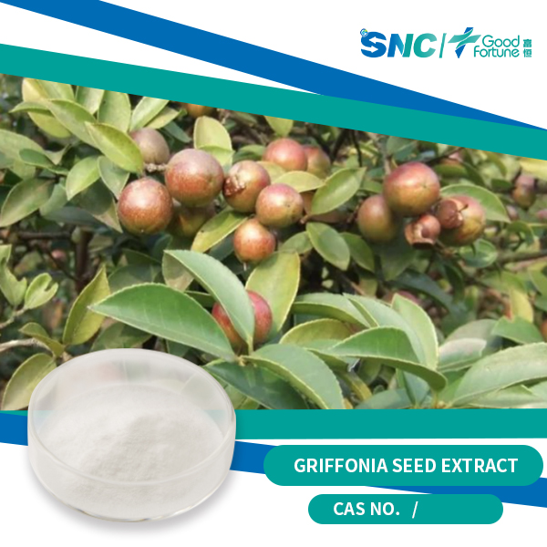 Griffonia Seed Extract | SNC | Good Fortune | Ingredients Network