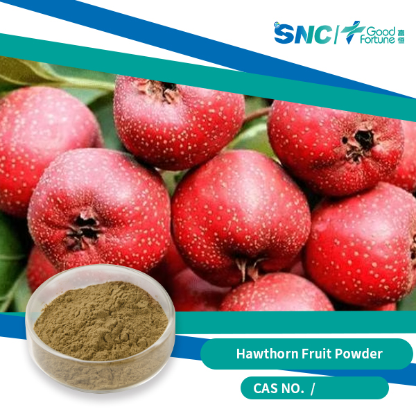Hawthorn Fruit Powder | SNC | Good Fortune | Ingredients Network