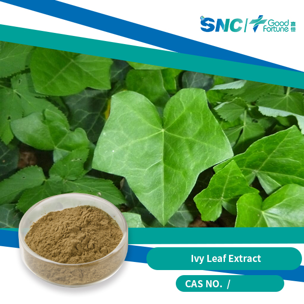 Ivy Leaf Extract | SNC | Good Fortune | Ingredients Network