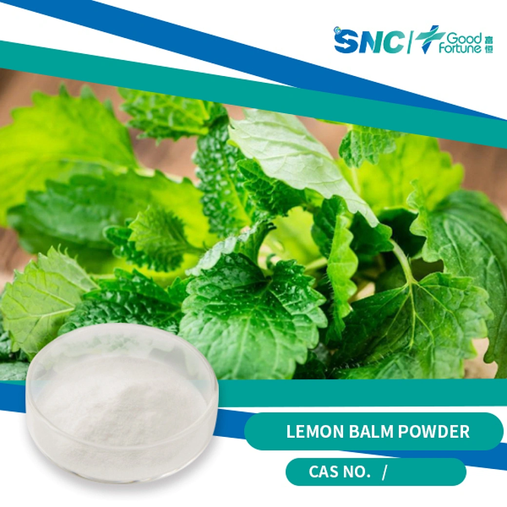 Lemon Balm Powder | SNC | Good Fortune | Ingredients Network
