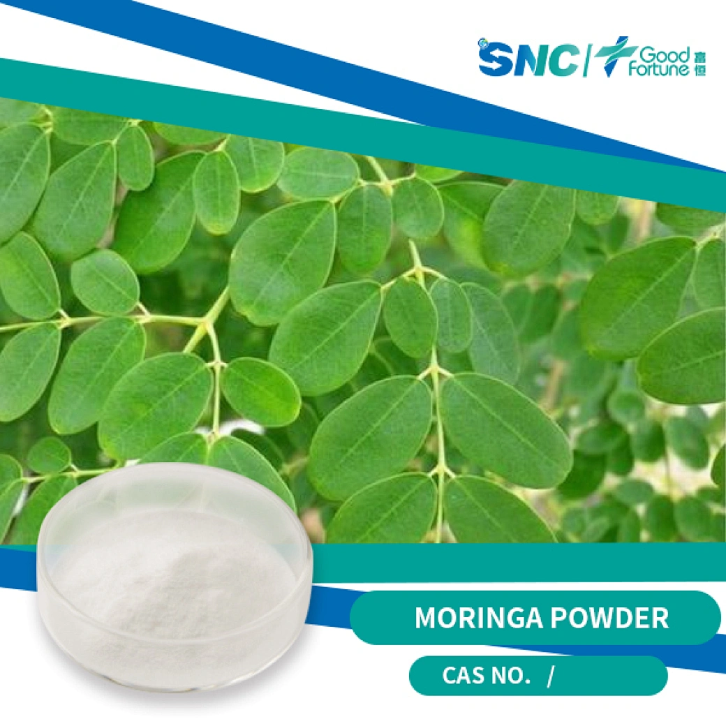 Moringa Powder | SNC | Good Fortune | Ingredients Network
