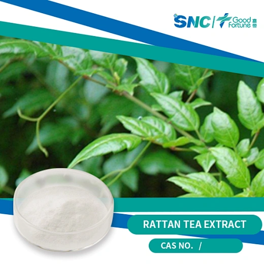 Rattan Tea Extract | SNC | Good Fortune | Ingredients Network