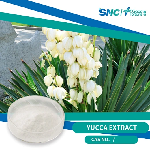 Yucca Extract | SNC | Good Fortune | Ingredients Network