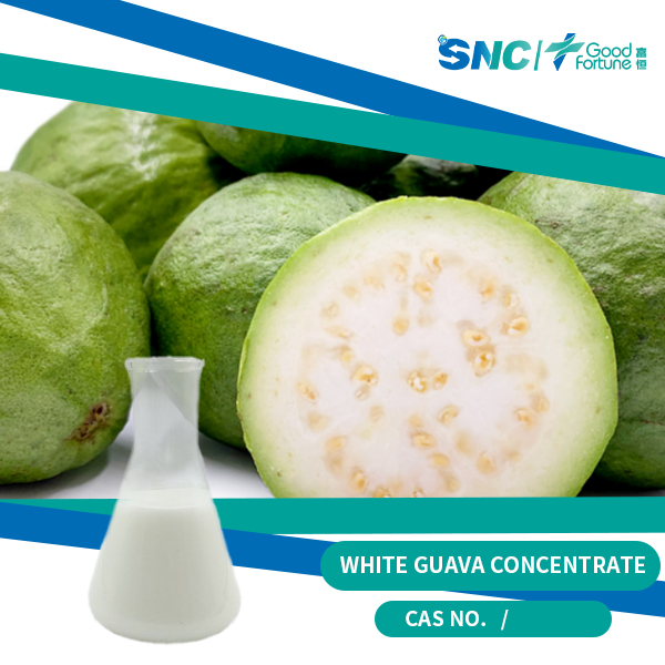 White Guava Concentrate | SNC | Good Fortune | Ingredients Network
