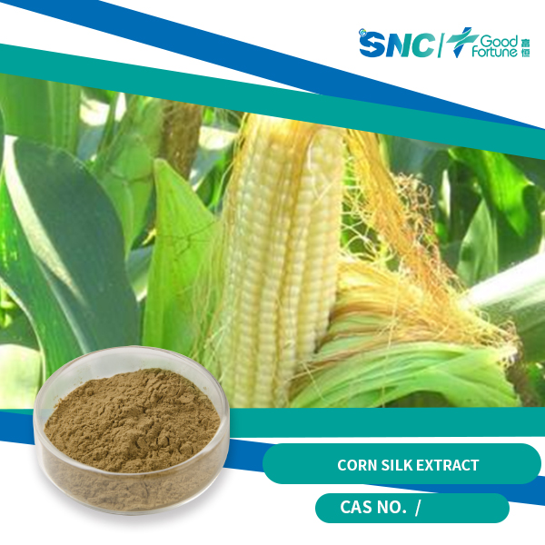 Corn Silk Extract | SNC | Good Fortune | Ingredients Network