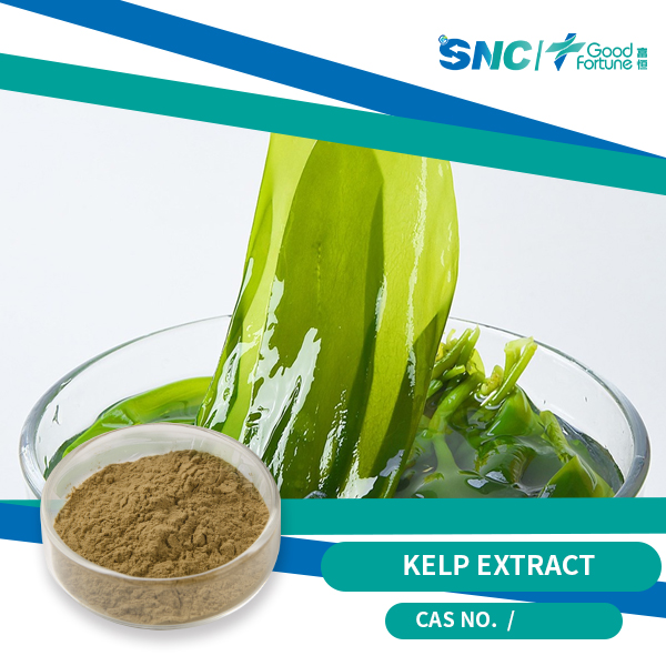 Kelp Extract | SNC | Good Fortune | Ingredients Network