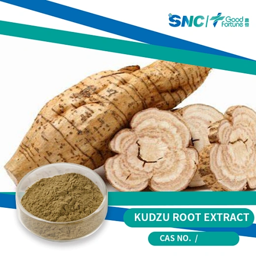 Kudzu Root Extract | SNC | Good Fortune | Ingredients Network
