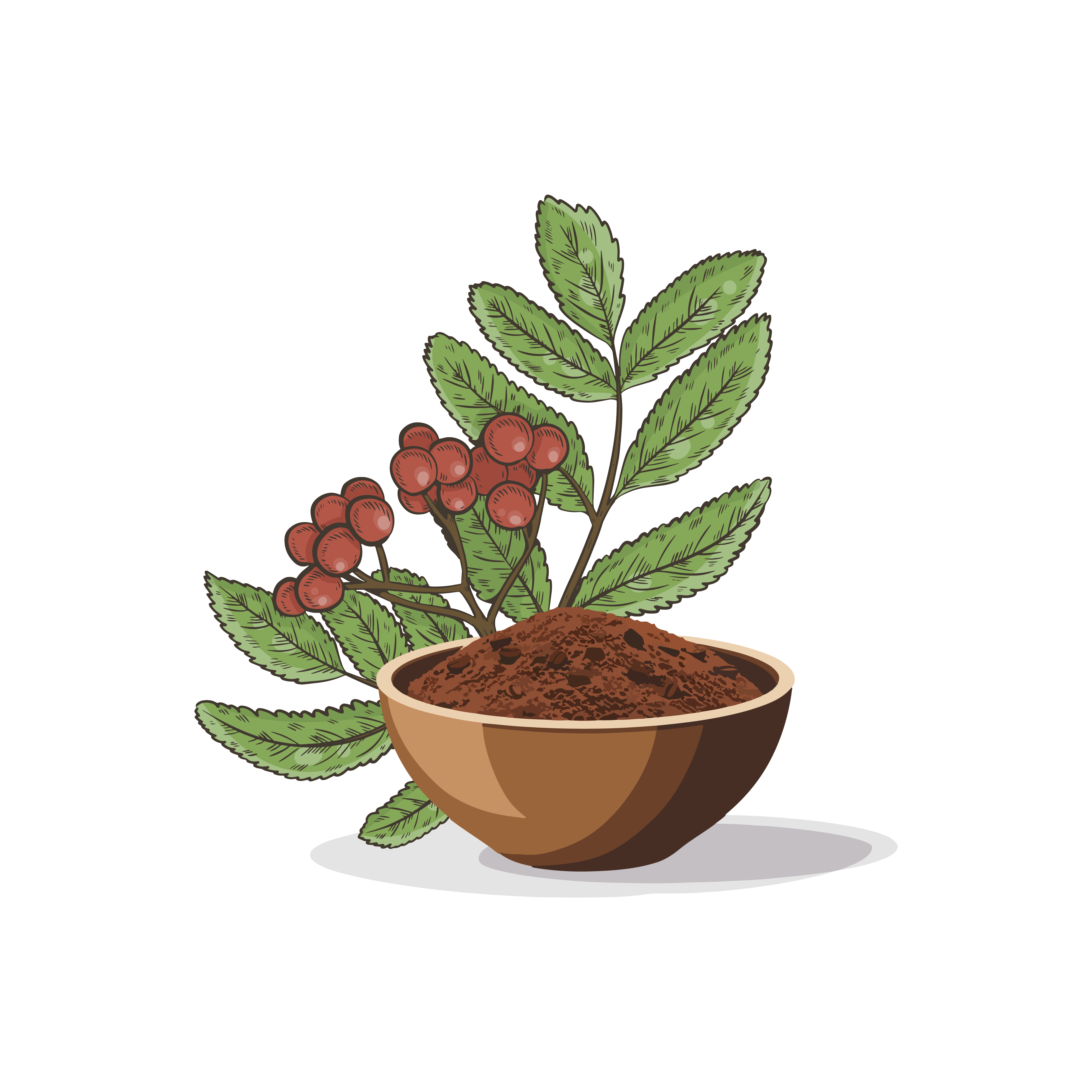 Guggul Extract | Kavalife Pvt Ltd | Ingredients Network