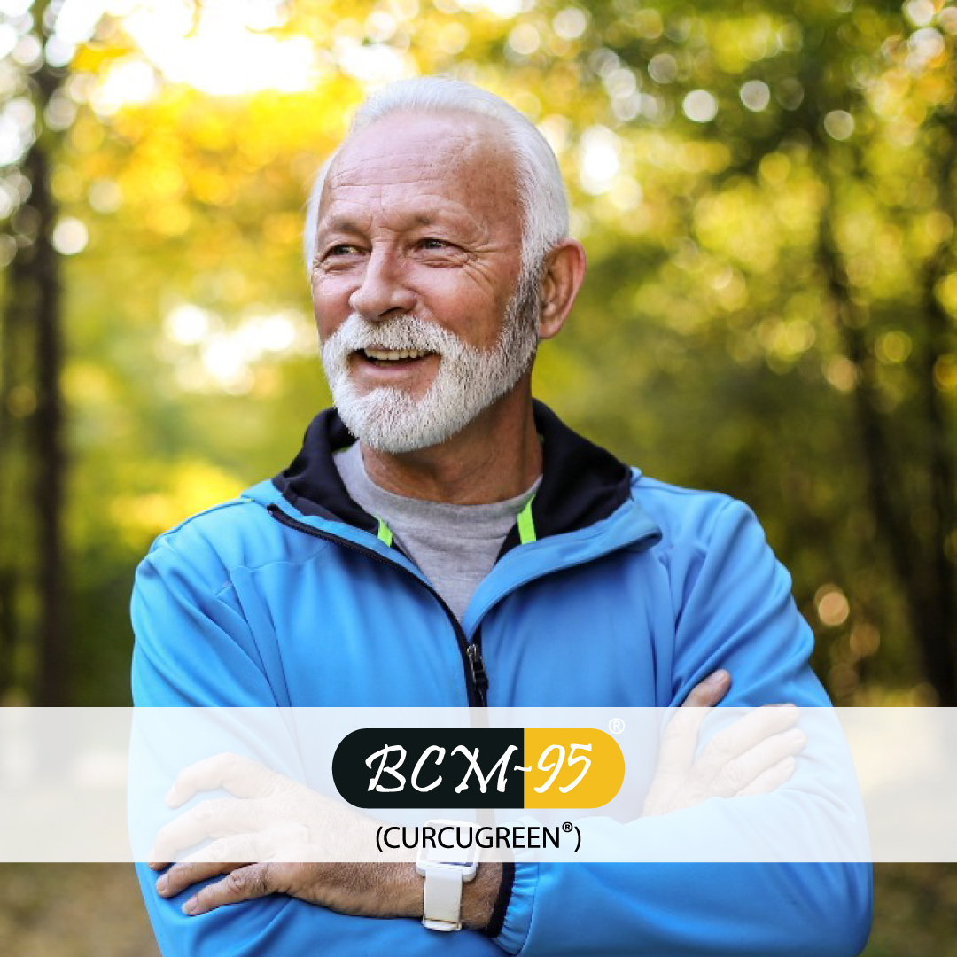 BCM-95® (biocurcumin®) | Arjuna Natural Pvt Ltd | Ingredients Network