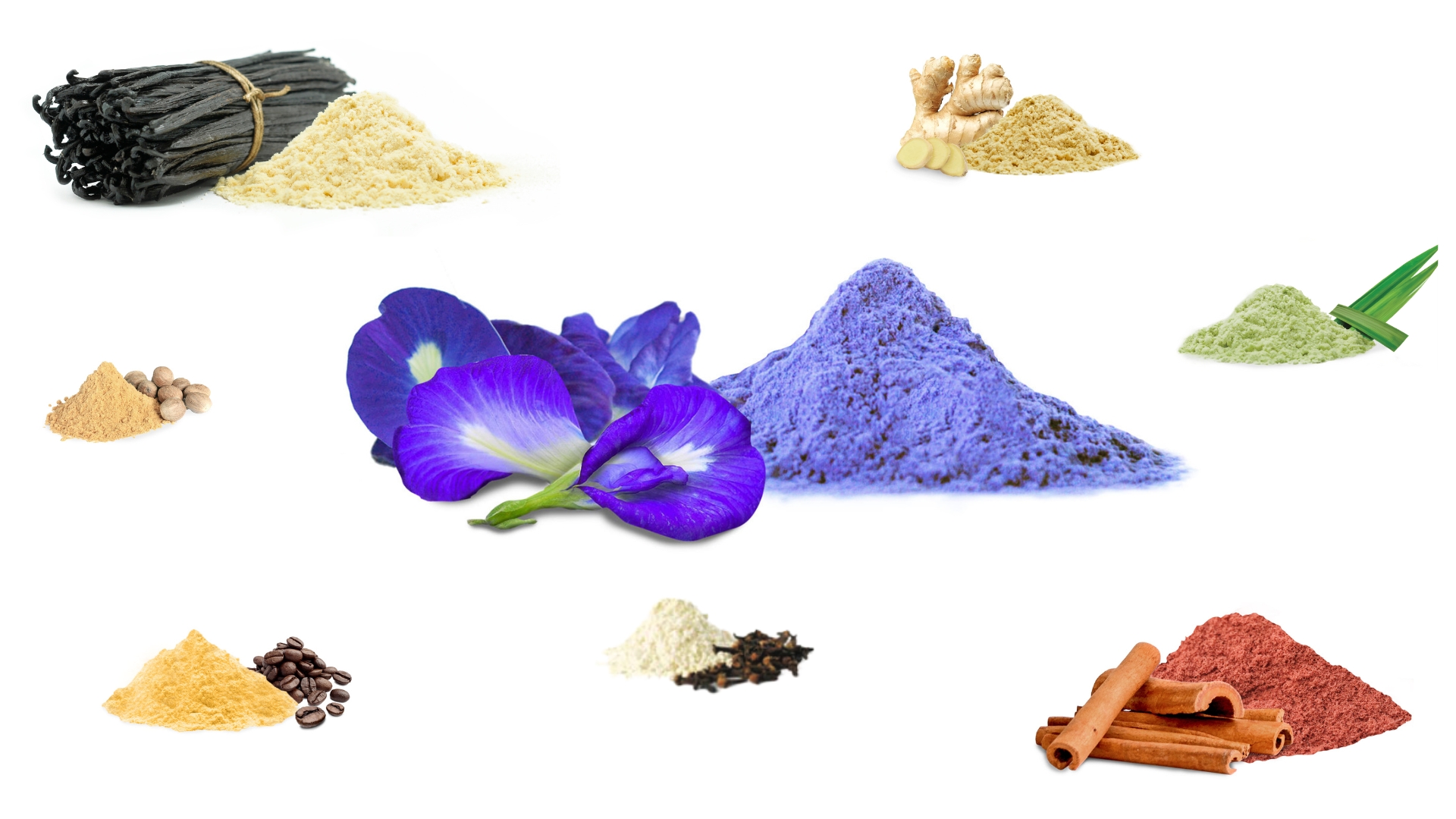 NATURAL EXTRACT POWDERS