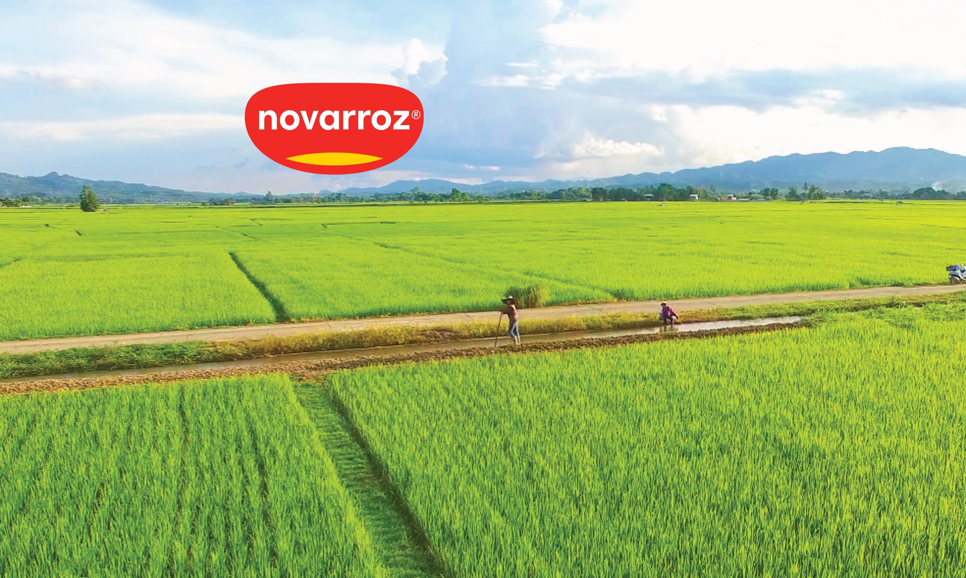 Novarroz - About Us - Company presentation