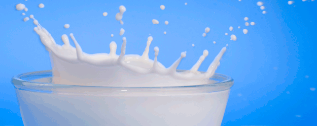 IDF delivers dairy outlook